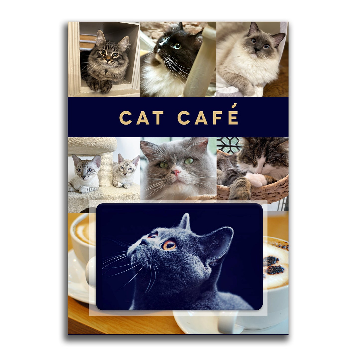 Cat Cafe Liverpool Gift Voucher - Digital Version
